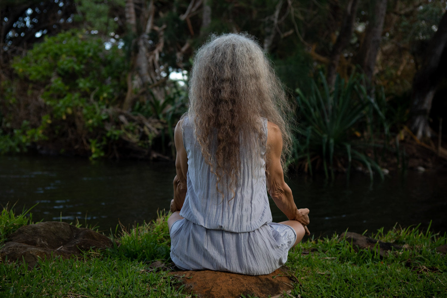 Blog – tagged "Meditation" – Hale Pule Ayurveda and Yoga