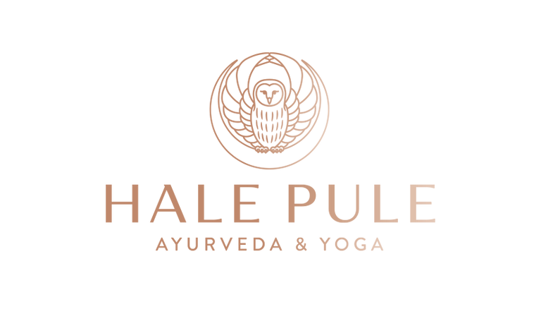 Come Home to Yourself Holistic Yoga – Hale Pule Ayurveda and Yoga