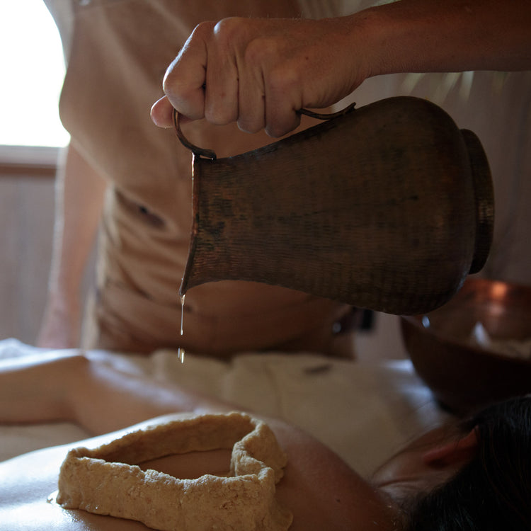 Ayurvedic Healing Training — Hale Pule Ayurveda & Yoga – Hale Pule ...