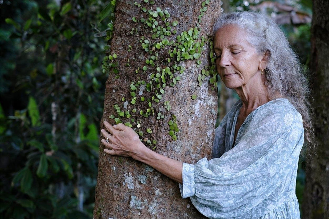 Upcoming Events — Hale Pule Ayurveda & Yoga – Hale Pule Ayurveda and Yoga